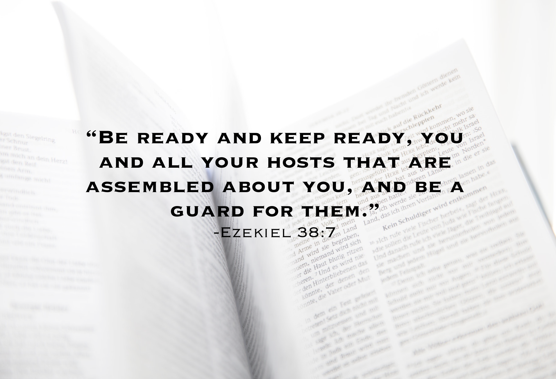 Let’s Build A BOB, pt 1 – Holy Homestead